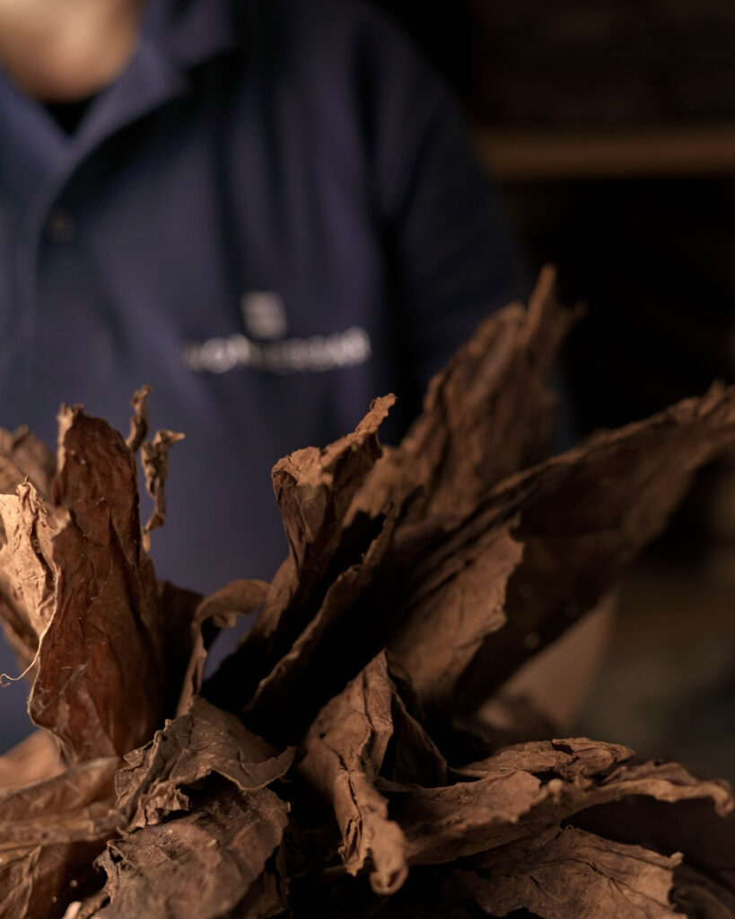 Science & Innovation – Acon Tobacco Industries